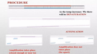Marker aided breeding in plants for crop improvement- RAPD , RFLP , SCAR Markers | PPTX