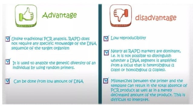 Marker aided breeding in plants for crop improvement- RAPD , RFLP , SCAR Markers | PPTX