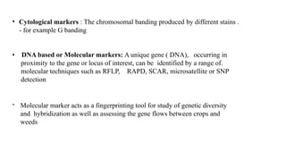 Marker aided breeding in plants for crop improvement- RAPD , RFLP , SCAR Markers | PPTX