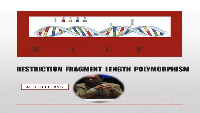 Marker aided breeding in plants for crop improvement- RAPD , RFLP , SCAR Markers | PPTX