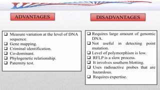 Marker aided breeding in plants for crop improvement- RAPD , RFLP , SCAR Markers | PPTX