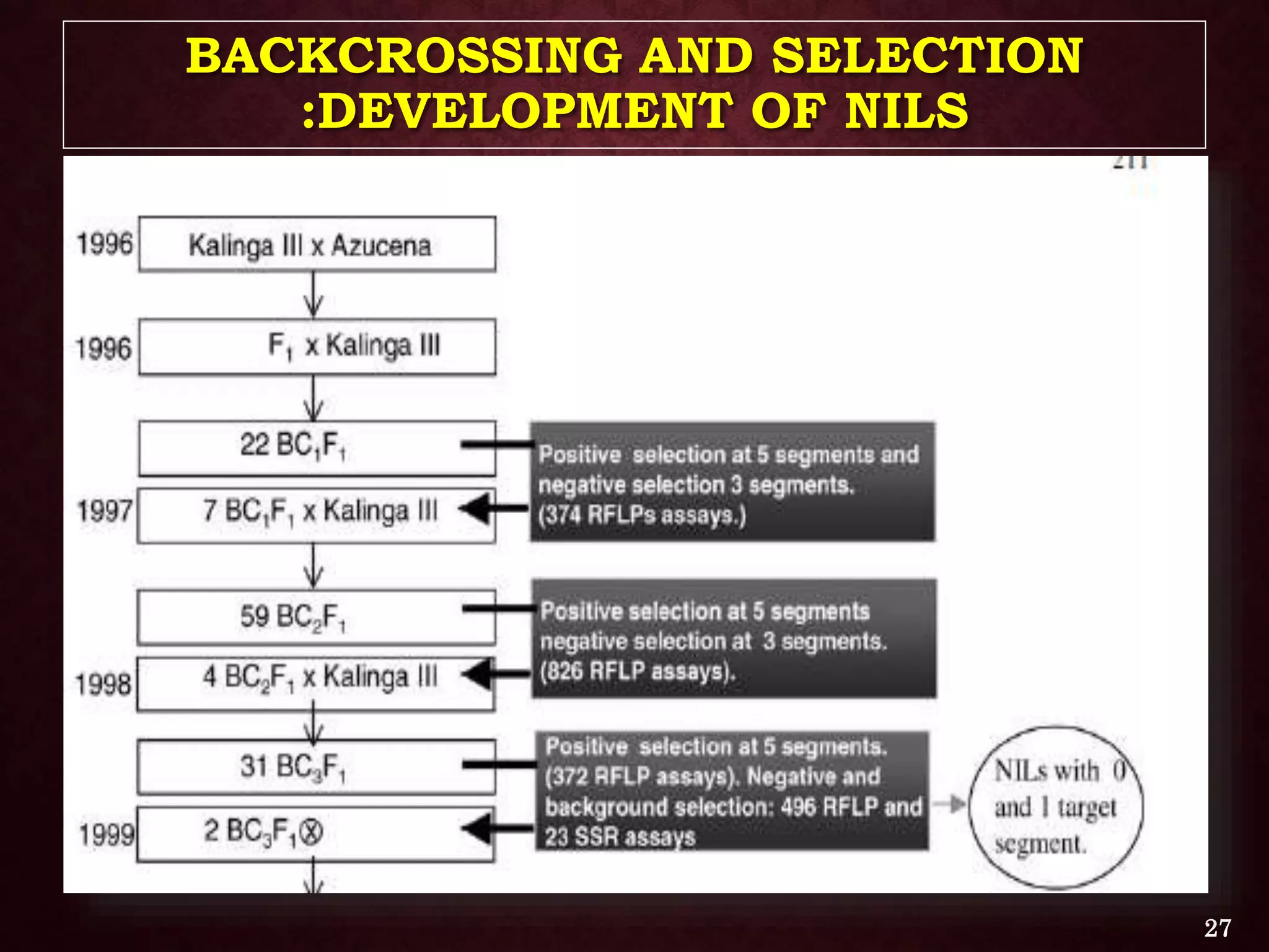 Marker assisted backcross breeding | PPTX