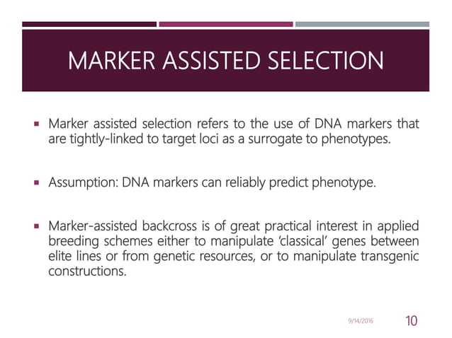 Marker assisted backcross breeding | PPTX