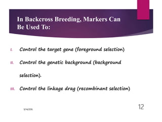 Marker assisted backcross breeding | PPTX