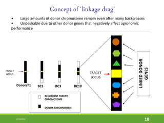 Marker assisted backcross breeding | PPTX