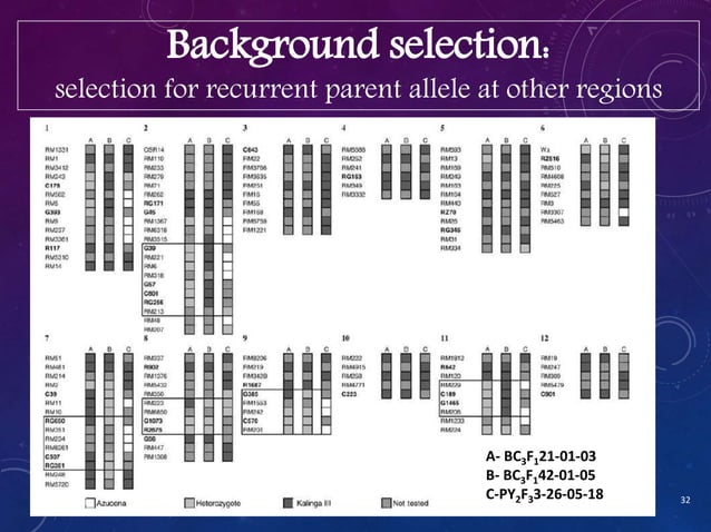 Marker assisted backcross breeding | PPTX