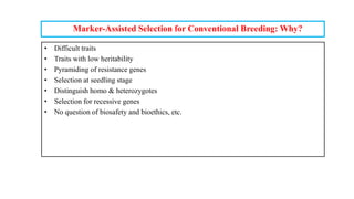 Marker Assisted Breeding in Rice.pptx