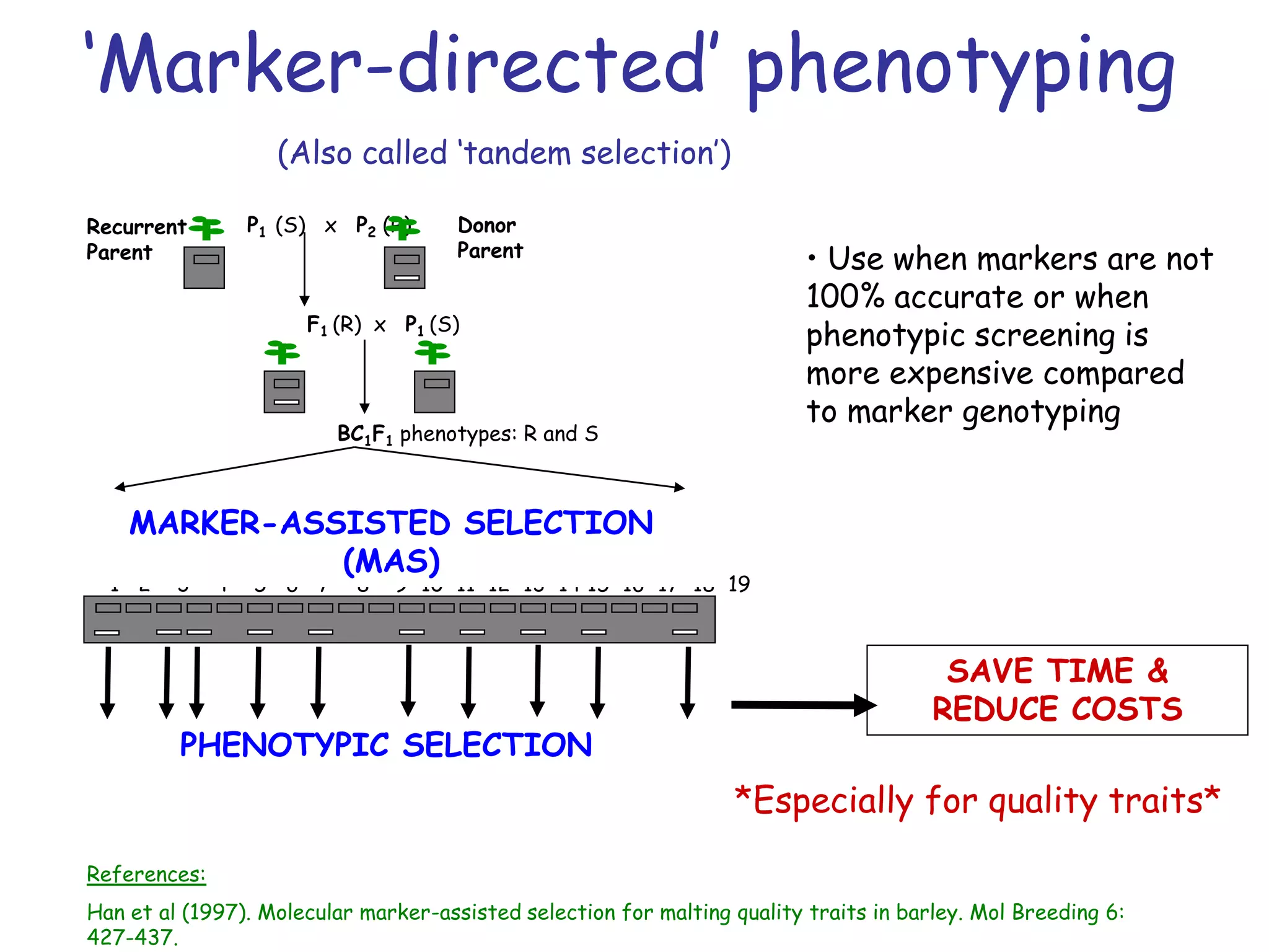 Marker assisted selection | PDF