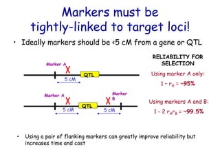 Marker assisted selection | PDF