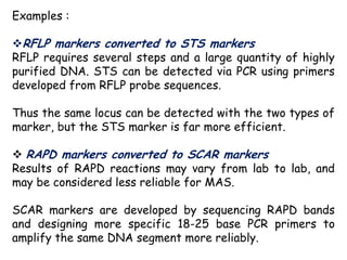 Marker assisted selection | PDF