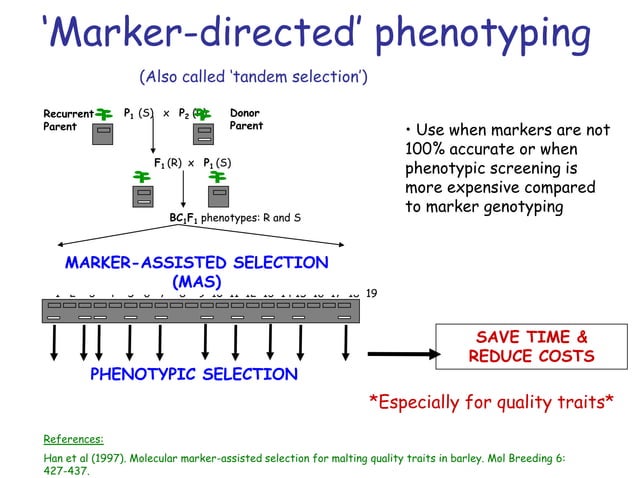Marker assisted selection | PDF