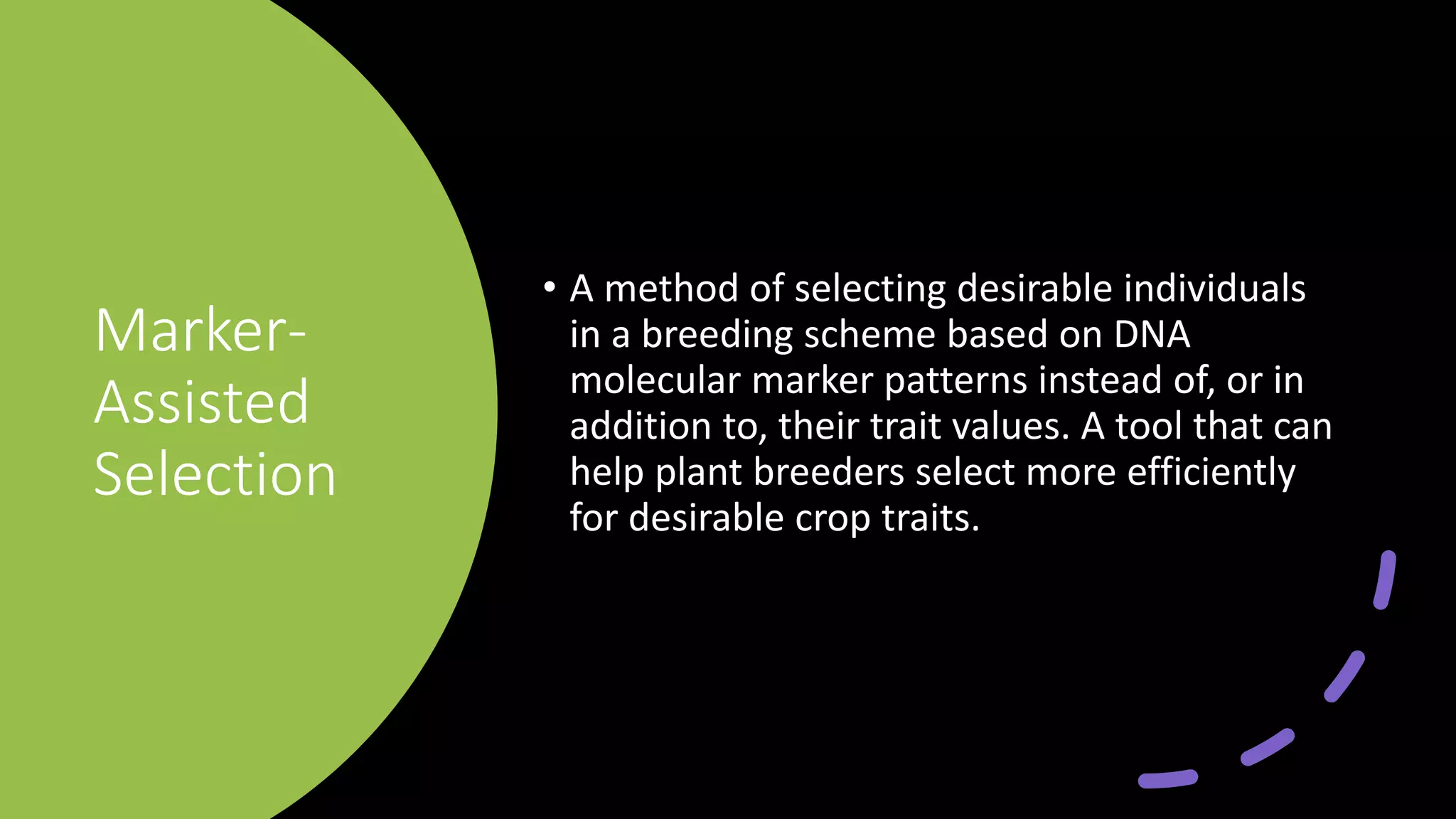 Marker assisted selection in rice | PPTX