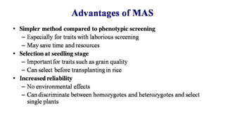 Marker assisted selection( mas) and its application in plant breeding ...