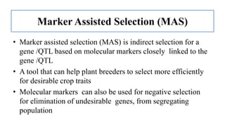 Marker assisted selection( mas) and its application in plant breeding ...