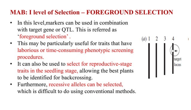 Marker assisted selection( mas) and its application in plant breeding ...