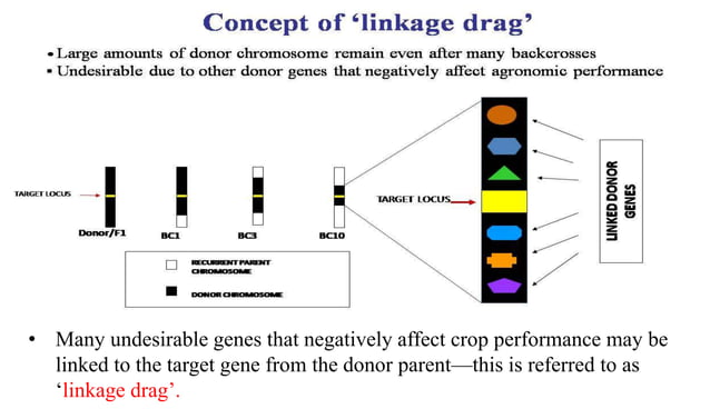 Marker assisted selection( mas) and its application in plant breeding ...