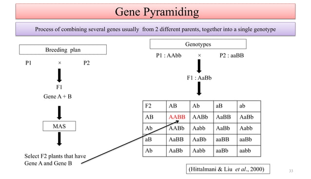 Marker assisted selection( mas) and its application in plant breeding ...