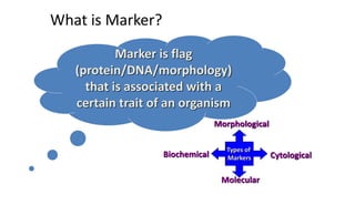 Marker assisted selection( mas) and its application in plant breeding ...
