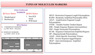 Marker assisted selection( mas) and its application in plant breeding | PPTX