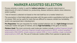 Marker assisted selection (rice).pptx
