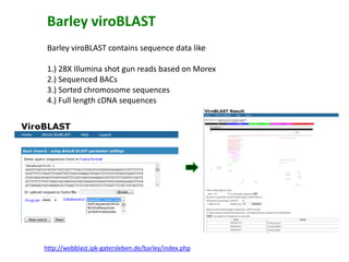 Marker devt. workshop 27022012 | PPTX