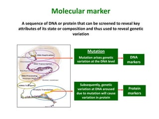 Marker devt. workshop 27022012 | PPTX