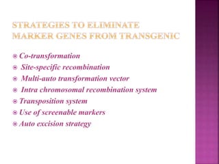 Marker free transgenic | PPTX