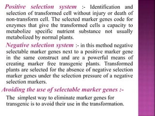 Marker free transgenic | PPTX