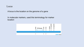 Marker PPT.pptx | Free Download