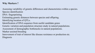 Marker PPT.pptx