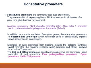 Markers - Transgenics.pptx