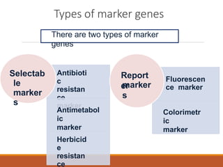 Markers - Transgenics.pptx