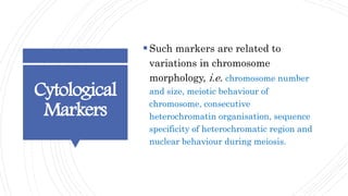 Morphological, Cytological and Biochemical Markers | PPTX
