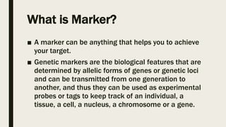 Morphological, Cytological and Biochemical Markers | PPTX