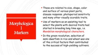 Morphological, Cytological and Biochemical Markers | PPTX