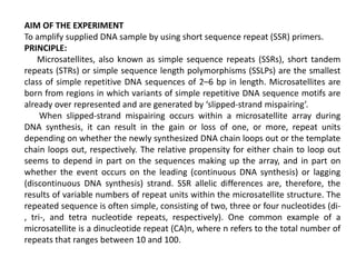 Marker SSR _jhjhkjkjlihkhkjghghfghd(2).pptx