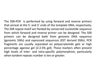Marker SSR _jhjhkjkjlihkhkjghghfghd(2).pptx