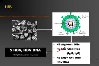 MARKER VIÊM GAN.pptx