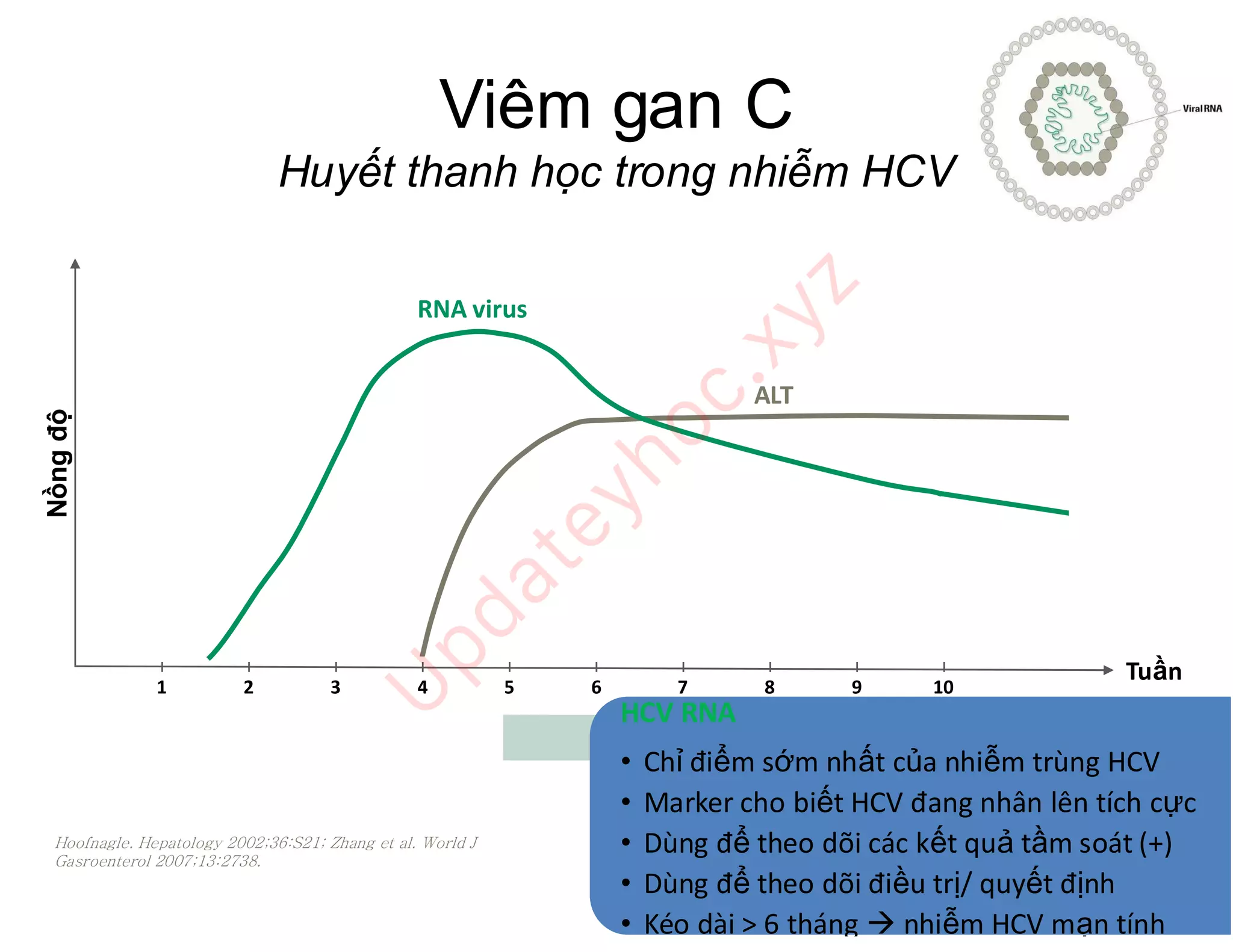 Marker & Lưu đồ chẩn đoán Viêm gan siêu vi B&C | PDF
