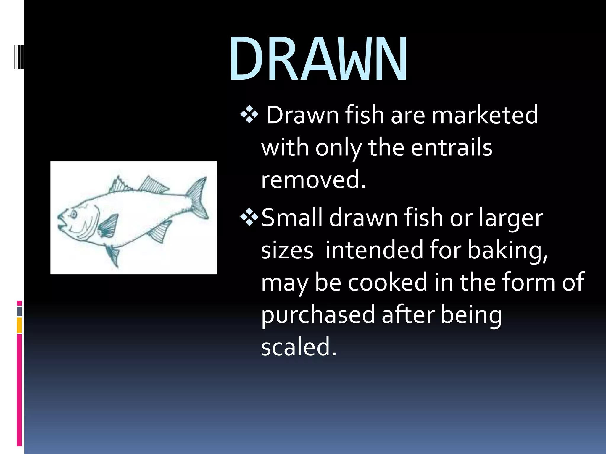 Market form of fish | PPTX