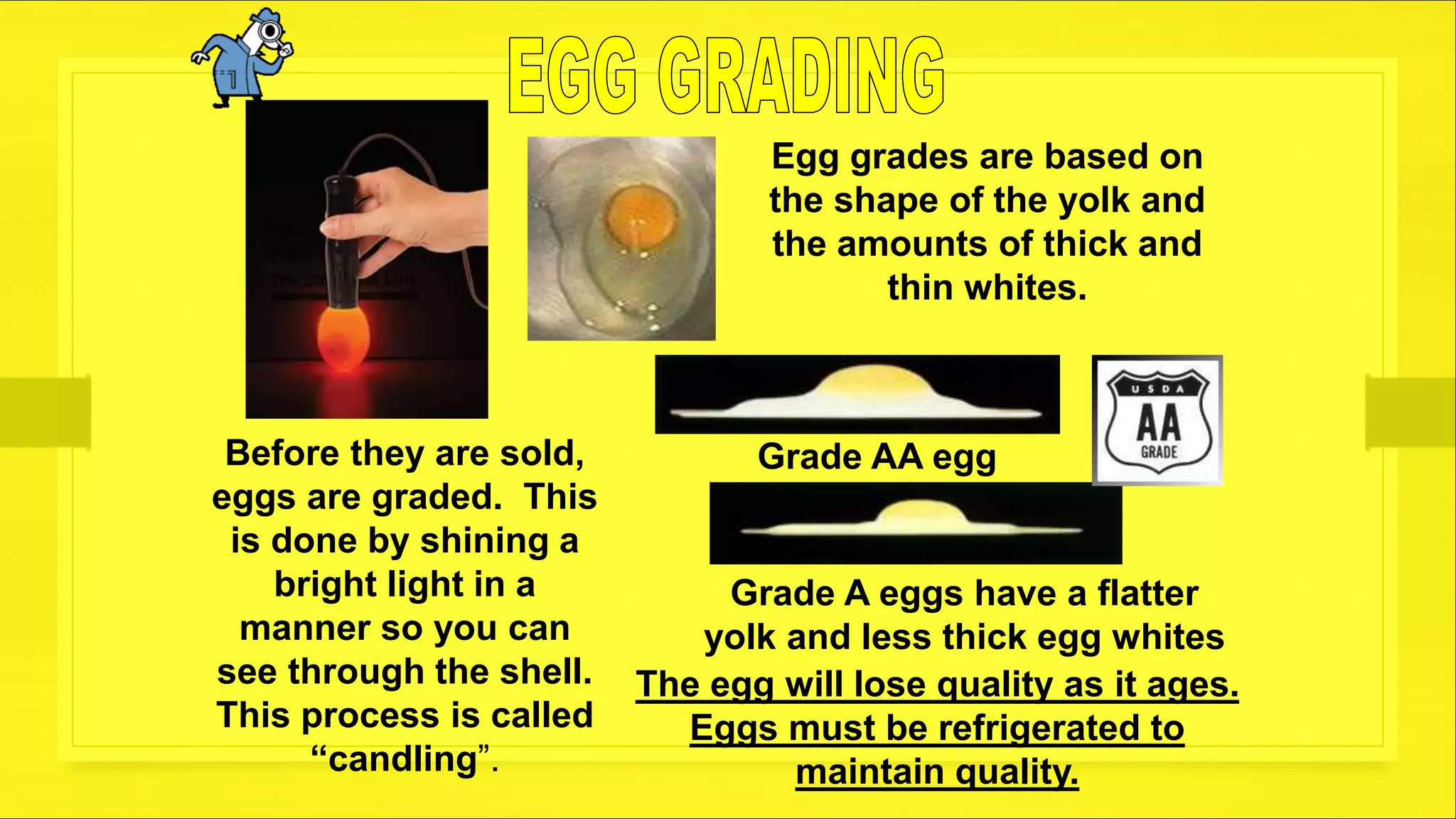 Market forms of egg | PPTX