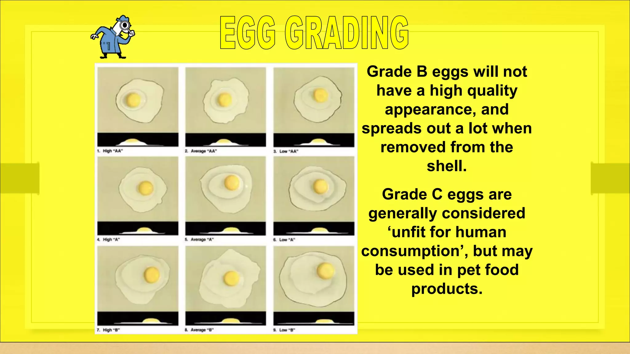 Market forms of egg | PPTX