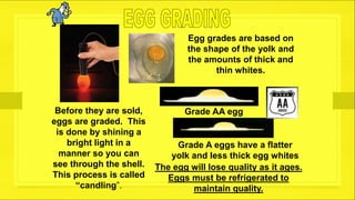 Market forms of egg | PPTX