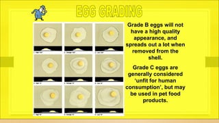Market forms of egg | PPTX