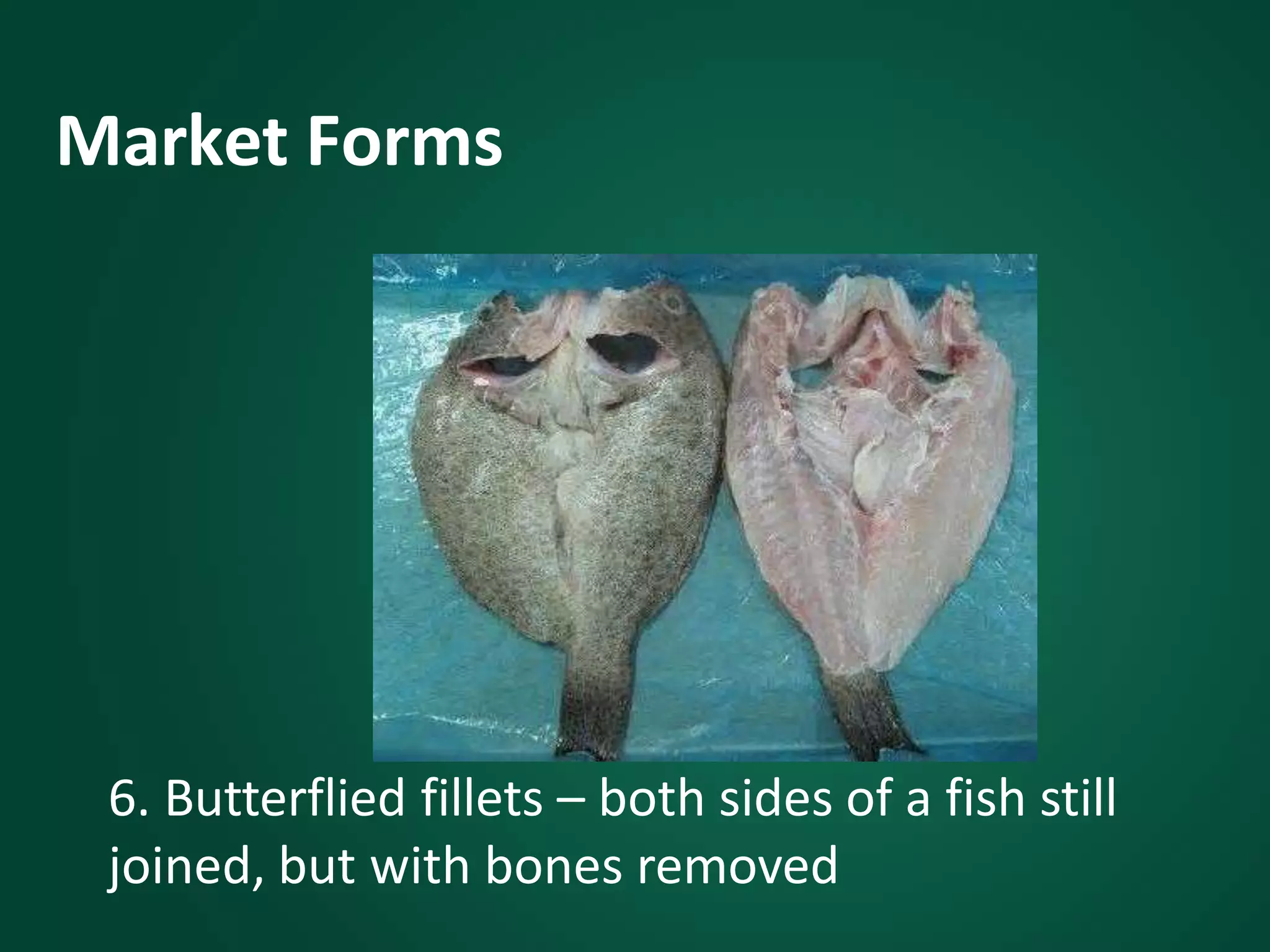 Market Forms of Fish.pptx