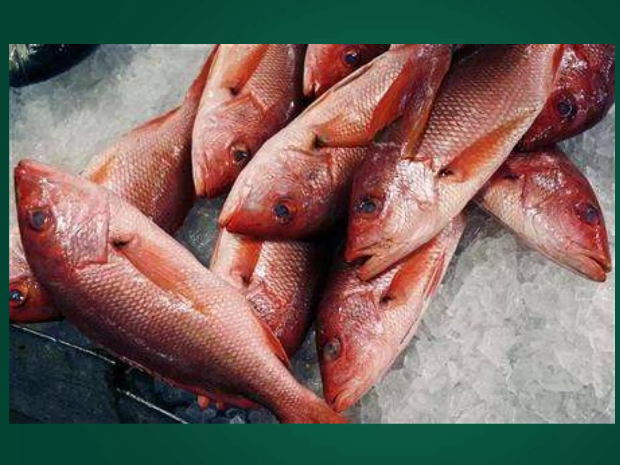 Market Forms of Fish.pptx