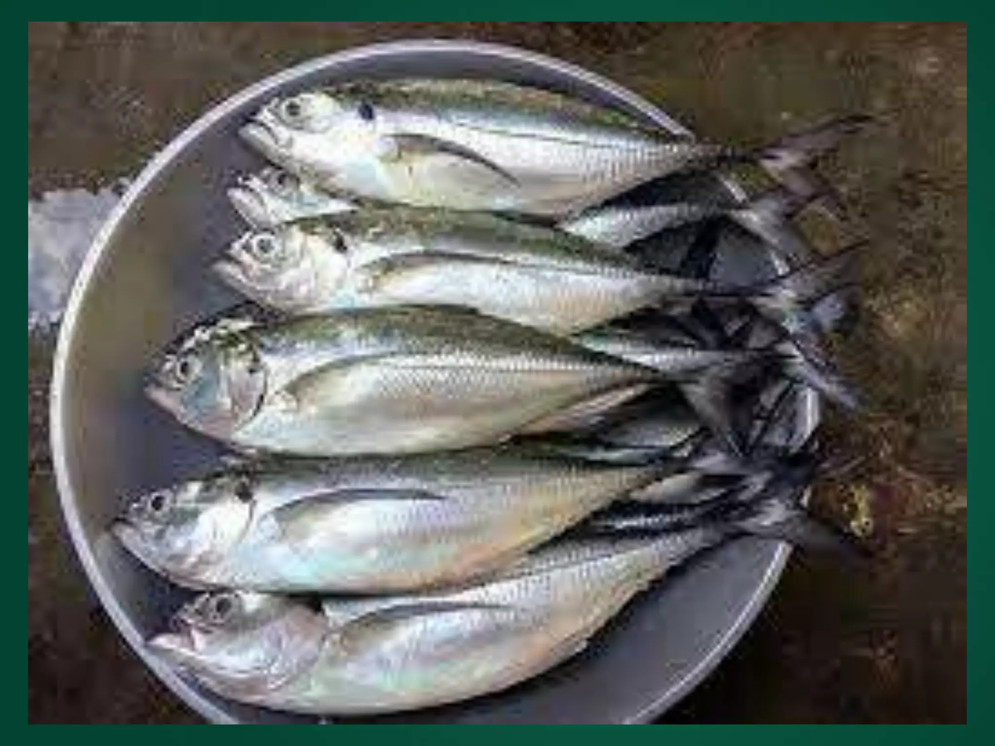 Market Forms of Fish.pptx