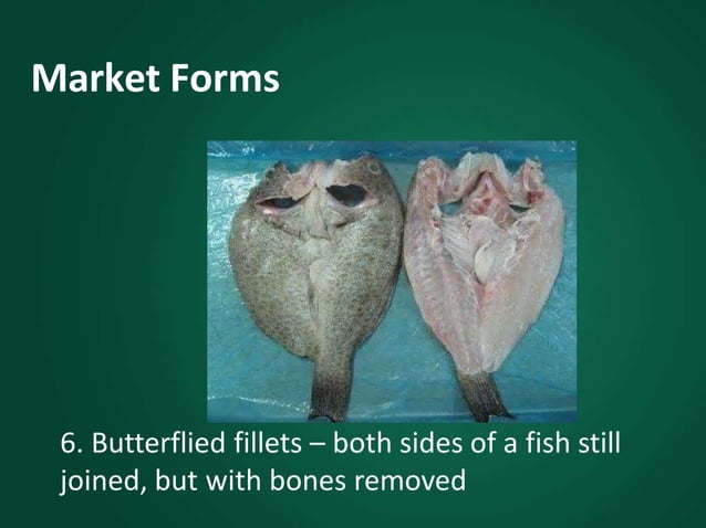 Market Forms of Fish.pptx | Fish and Aquariums | Pets