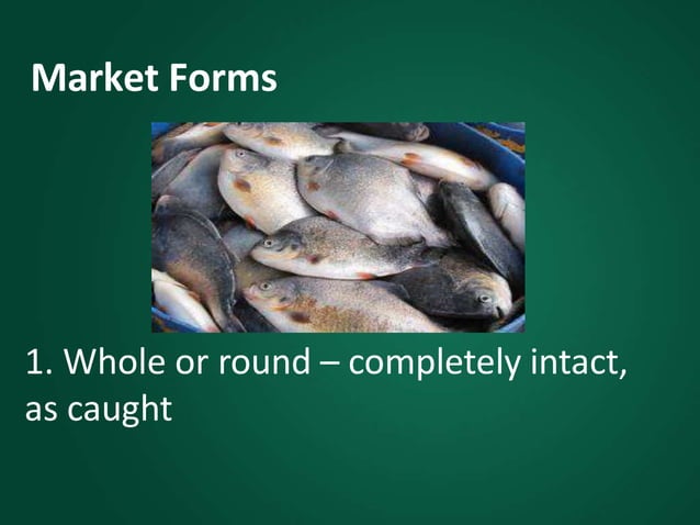 Market Forms of Fish.pptx | Fish and Aquariums | Pets