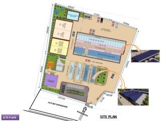 Market fruit & veg | PPT